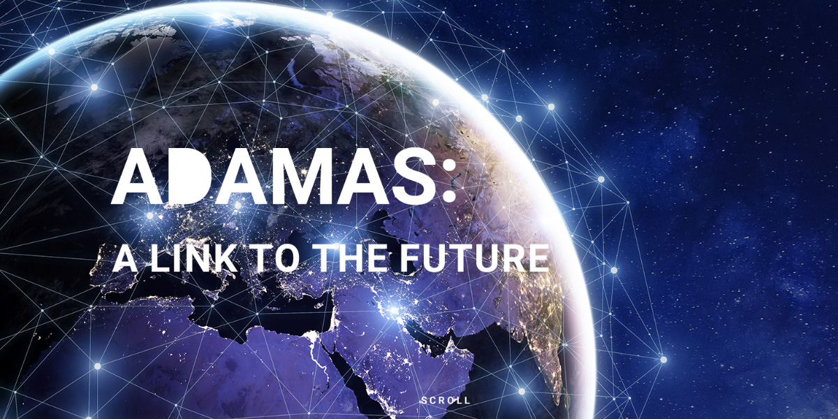 実績紹介｜合同会社ADAMAS